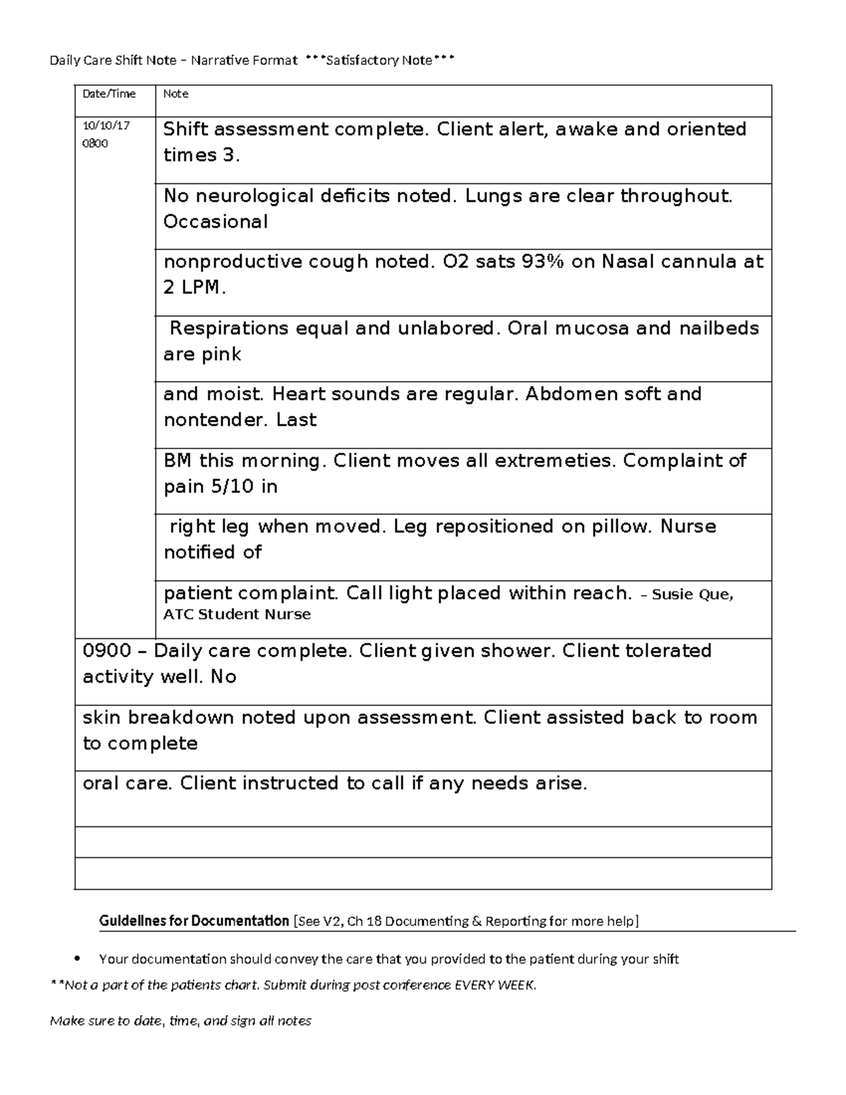 Daily Care Shift Note with guidelines Satisfactory - Daily Care Shift ...