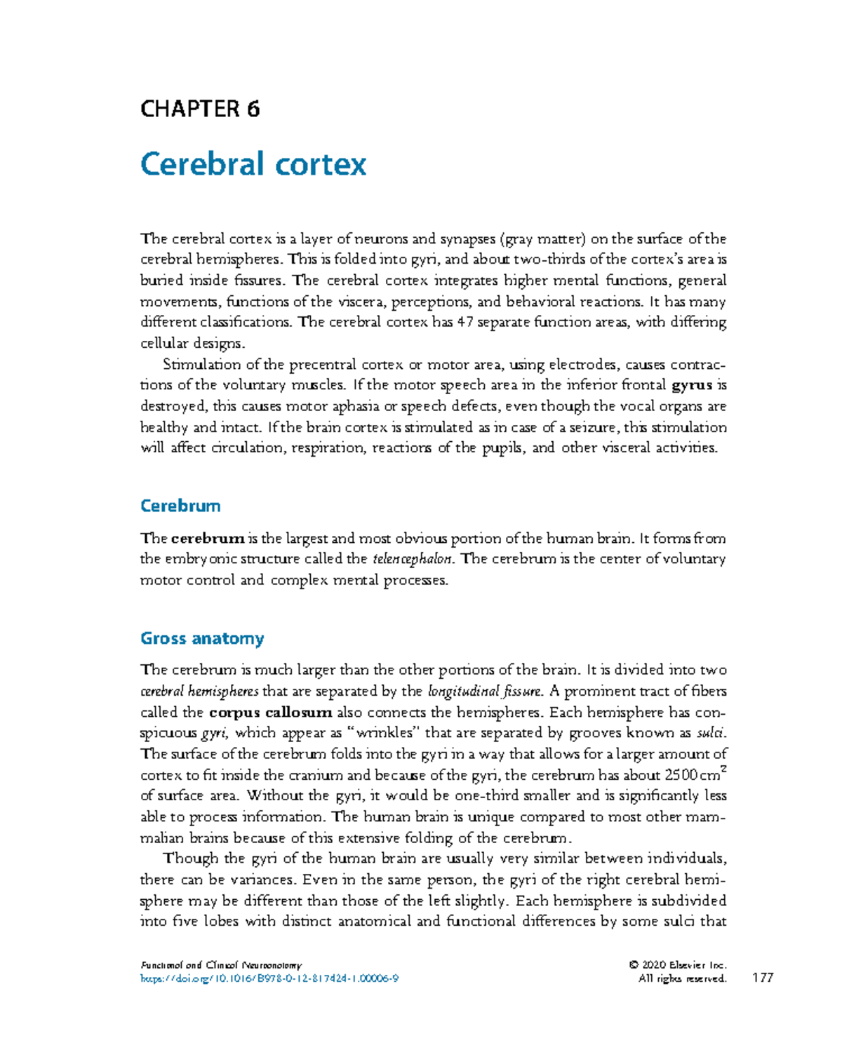 CHAPTER 6: Cerebral Cortex - Functions and Anatomy Overview (Moini 2020 ...