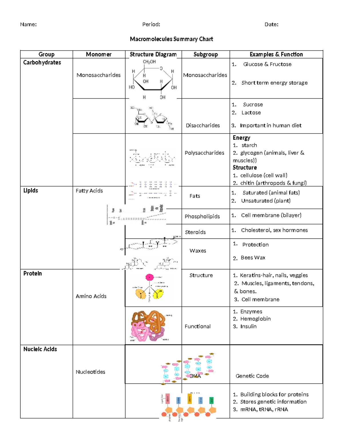Macromolecule Summary Chart: Key Concepts and Functions - Studocu