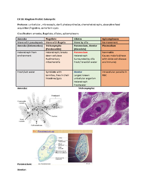 Biology Chapter 6 Flashcards Quizlet - 3/17/22, 10:13 AM Biology ...