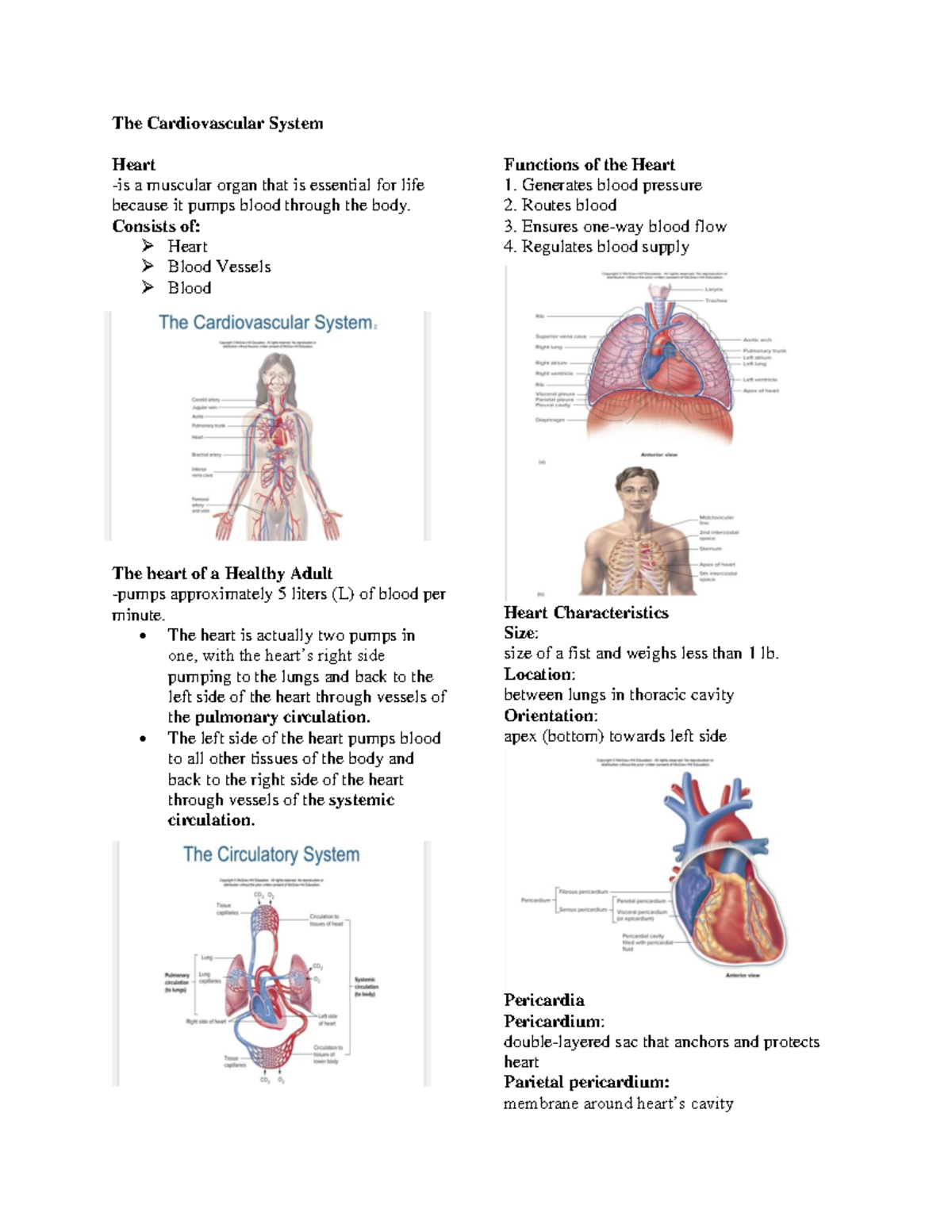Cardiovascular A&P: Essential Notes on Heart Structure & Function - Studocu