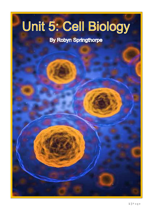 [Solved] stages involved in the secretion of an enzyme by a stomach ...