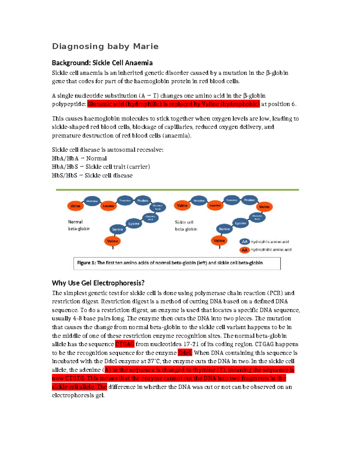 Baby Marie Worksheet: Practical Guide on Sickle Cell Anaemia Diagnosis ...