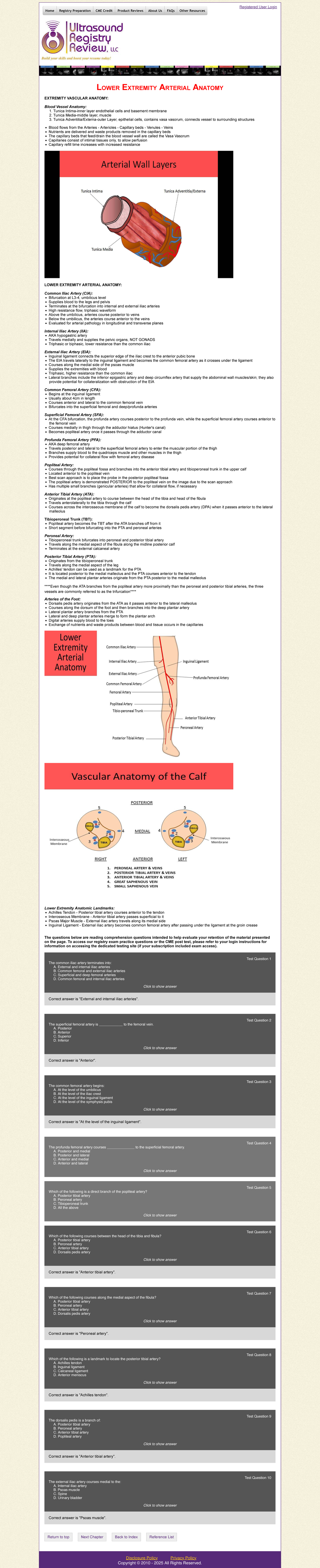 Lower Extremity Arterial Anatomy: Comprehensive Overview and Review ...