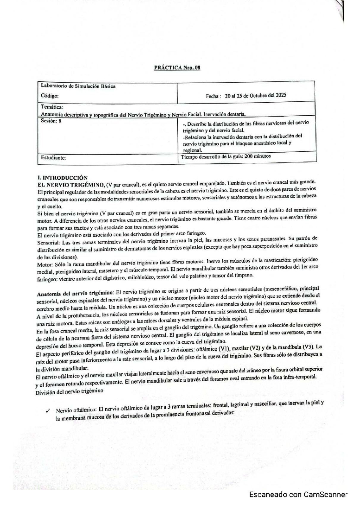 Práctica Nro. 08: Anatomía del Nervio Trigémino y Facial - Código: GL ...