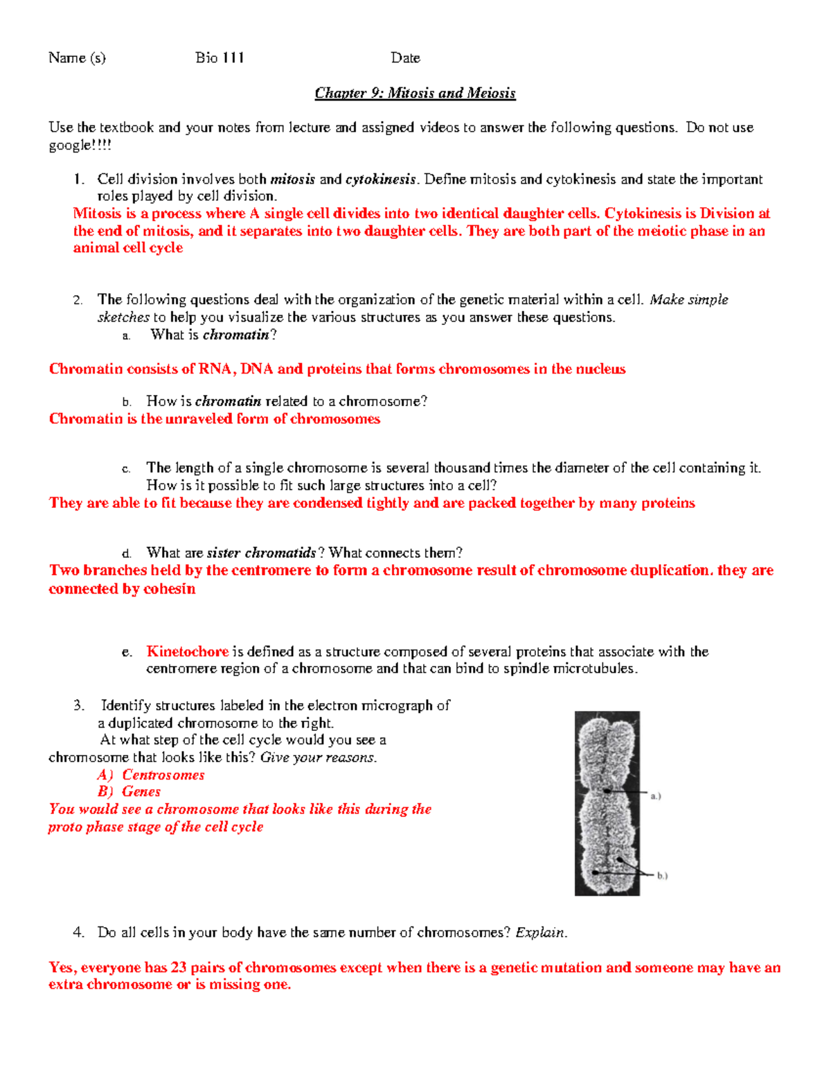 Bio 111: Mitosis and Meiosis Assignment Overview and Key Concepts - Studocu