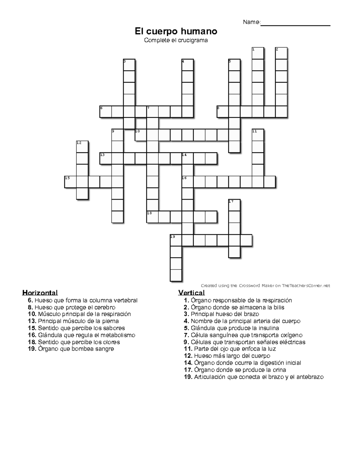 Crucigrama Cuerpo humano - El cuerpo humano Complete el crucigrama Name ...
