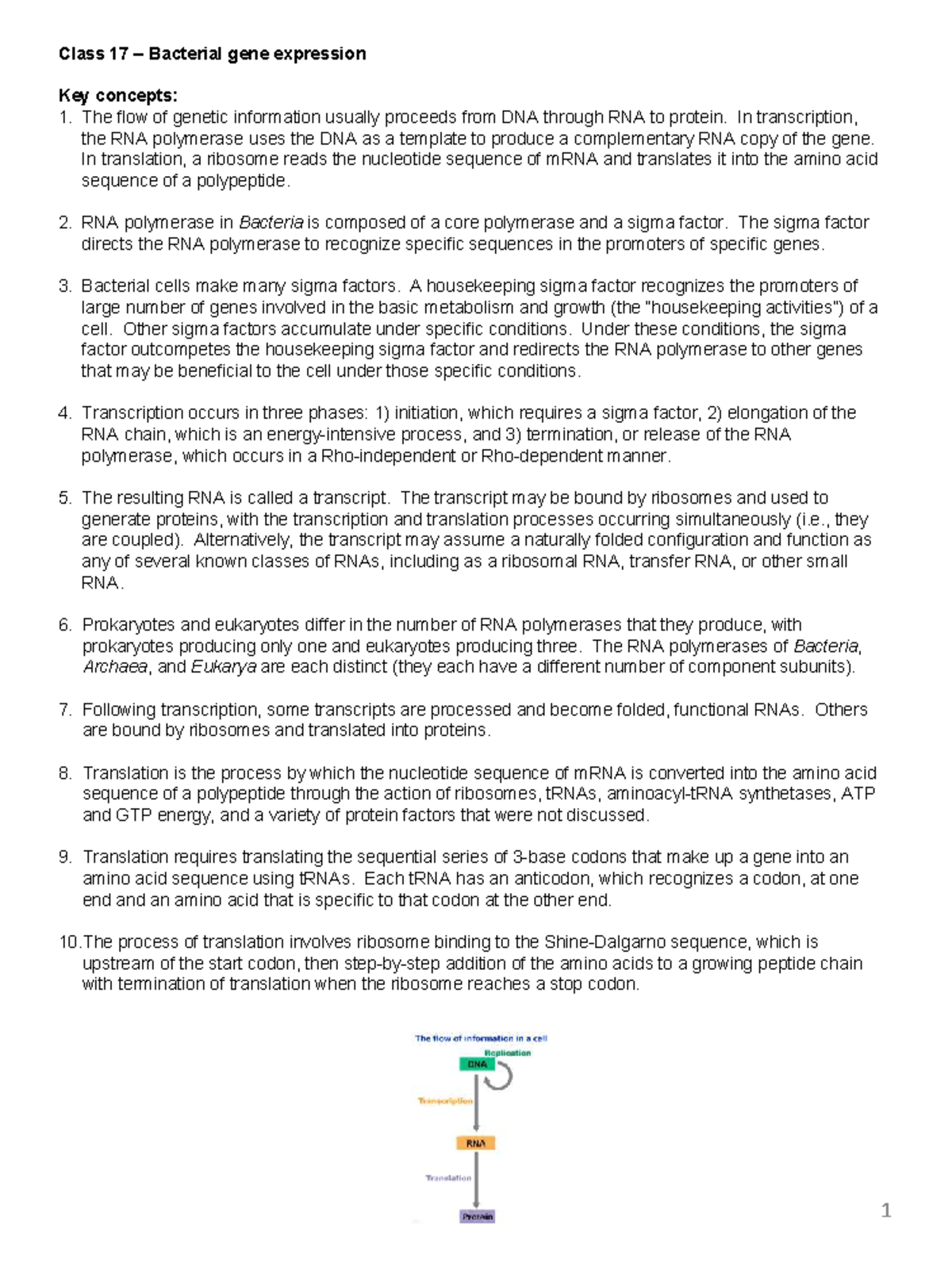 Bacterial Gene Expression (Class 17): Transcription & Translation Overview - Studocu