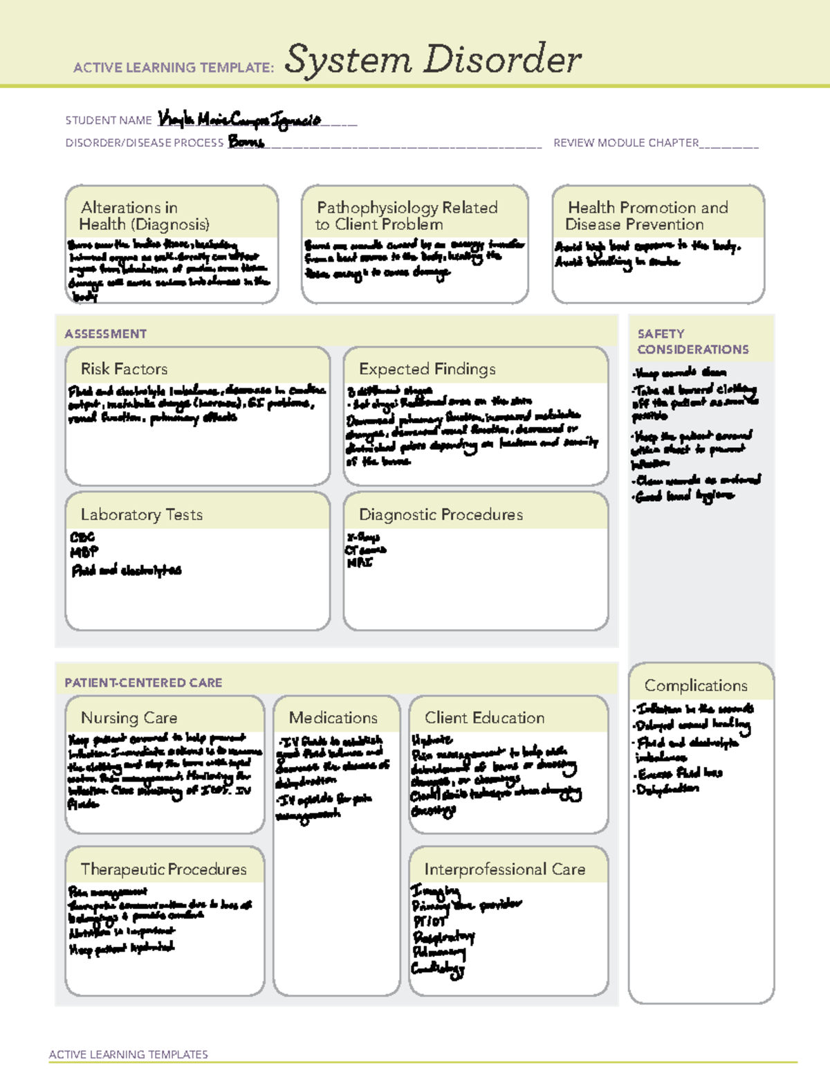 Burns System Disorder: Active Learning Template for Health Alterations ...