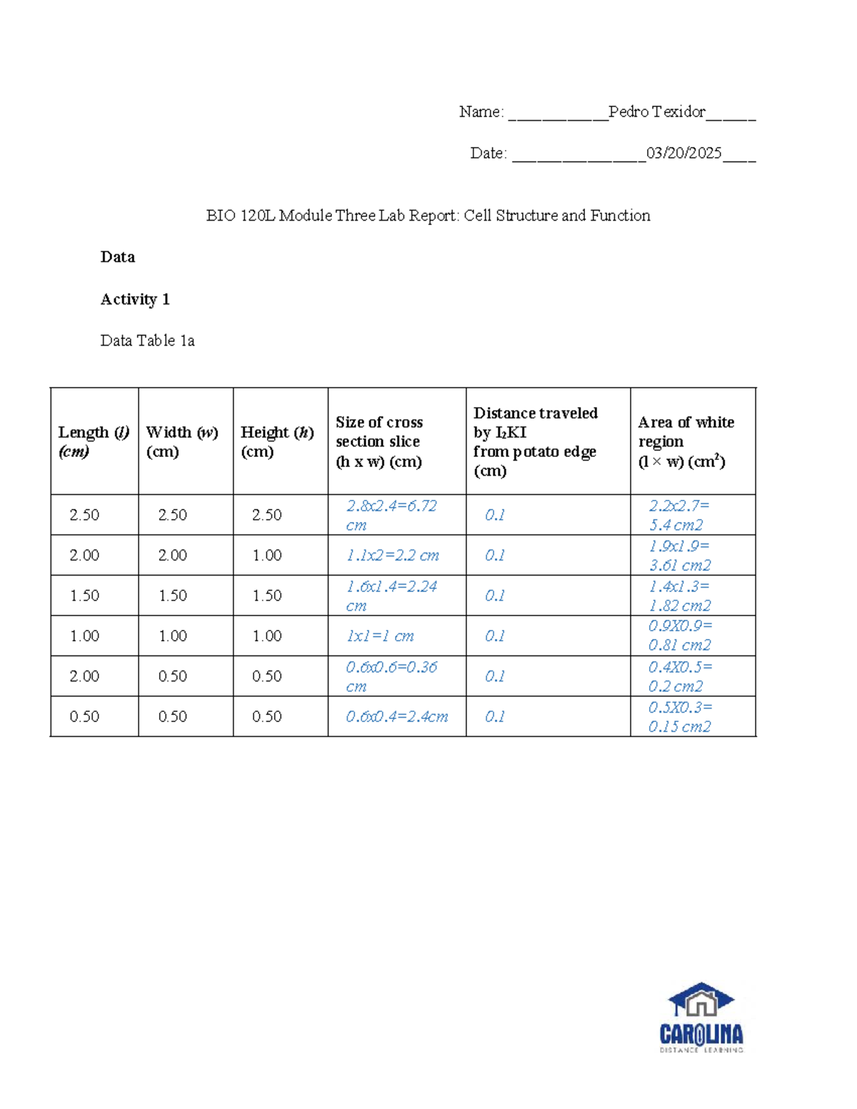 BIO 120L Module 3 Lab Report: Cell Structure & Diffusion Analysis - Studocu