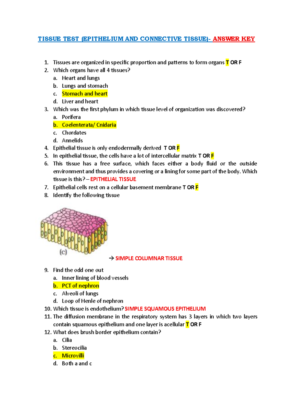 TISSUE TEST ANSWER KEY (EPITHELIUM & CONNECTIVE) - Studocu