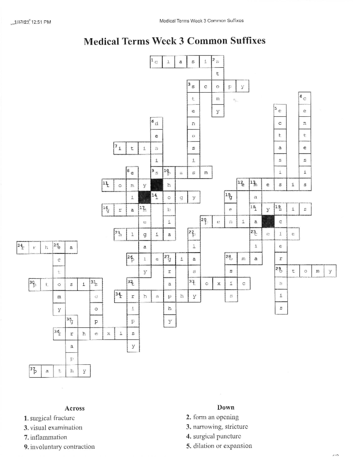 Medical Terms Week 3: Common Suffixes Crossword Answers (Module 1) - Studocu