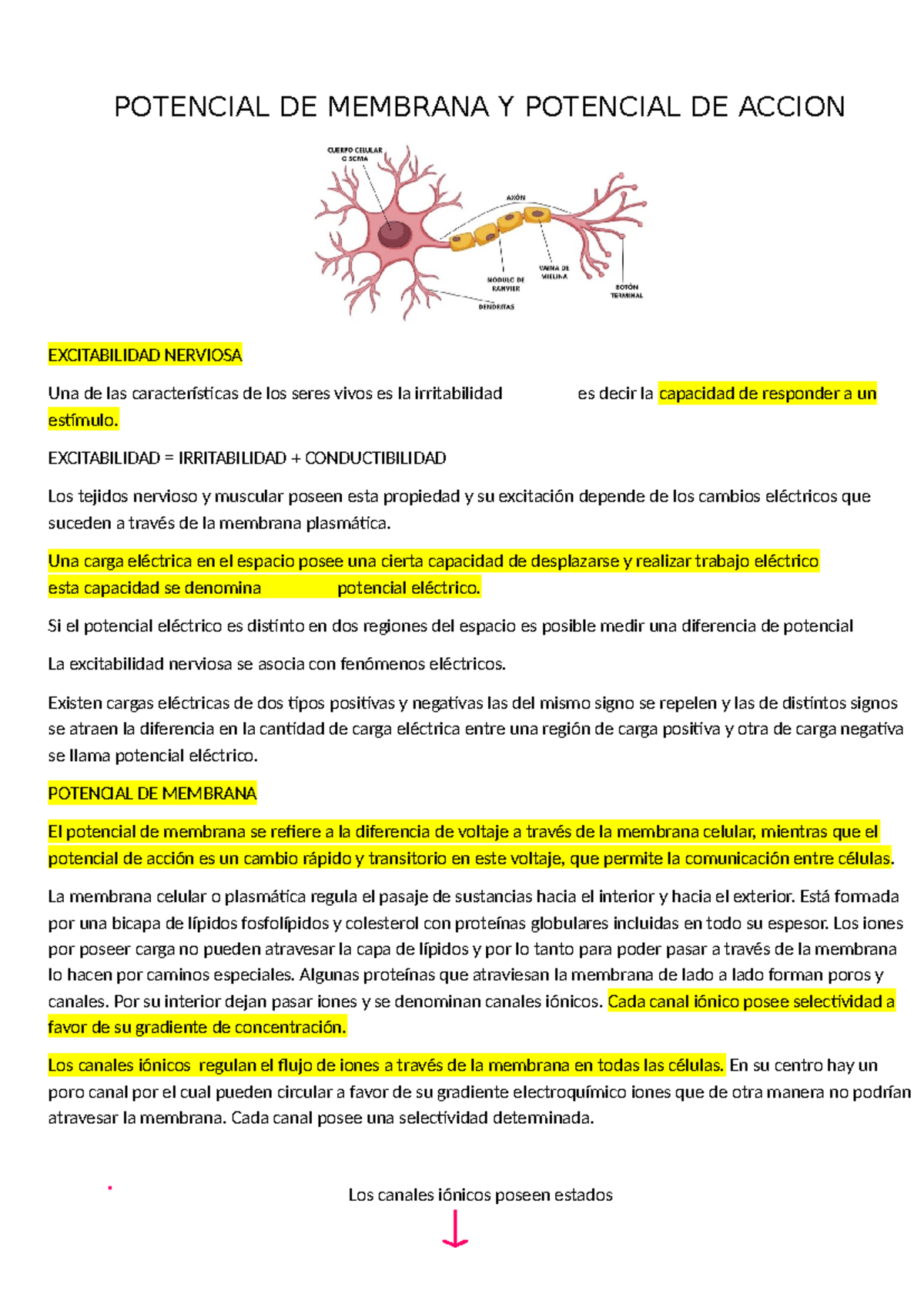 POTENCIAL DE MEMBRANA Y ACCIÓN EN EXCITABILIDAD NERVIOSA - Studocu