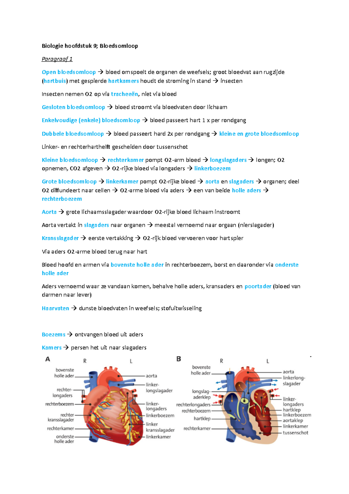 Biologie hoofdstuk 9: Bloedsomloop en Hartcyclus Inzichten - Studeersnel
