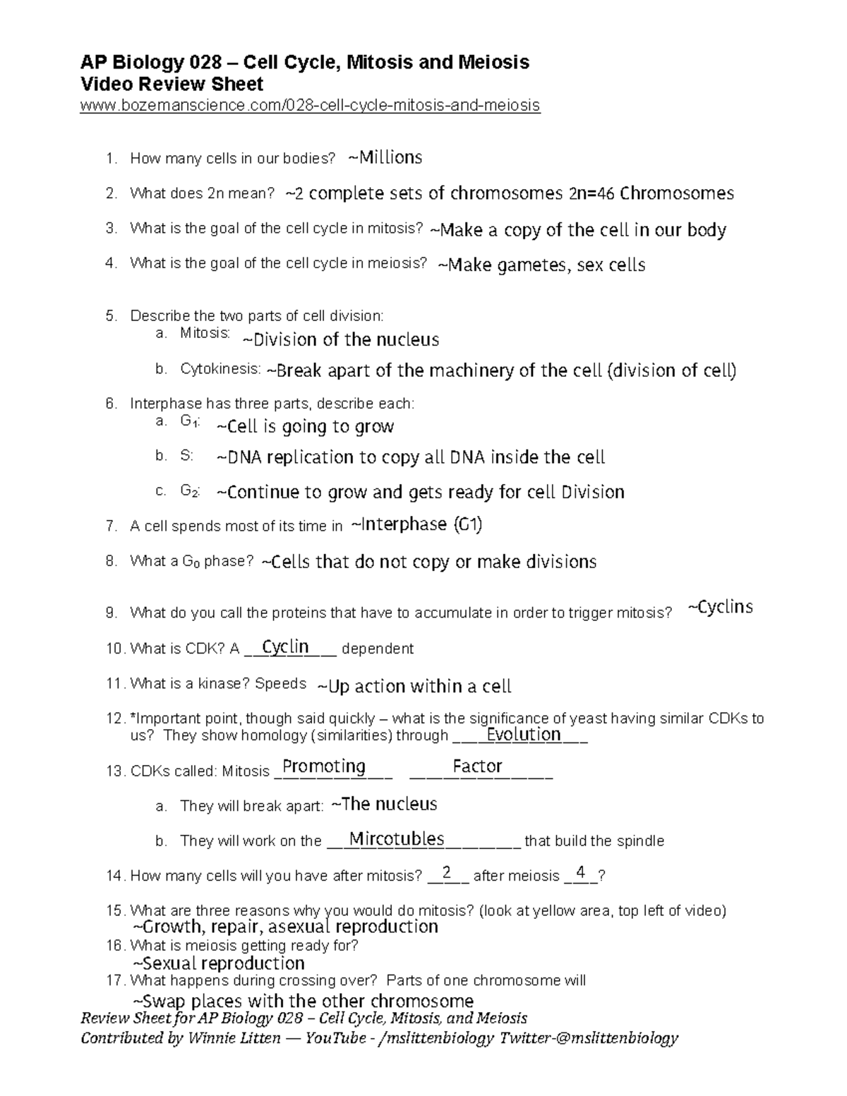 AP Bio 028: Cell Cycle, Mitosis & Meiosis Review Sheet - WL - Studocu
