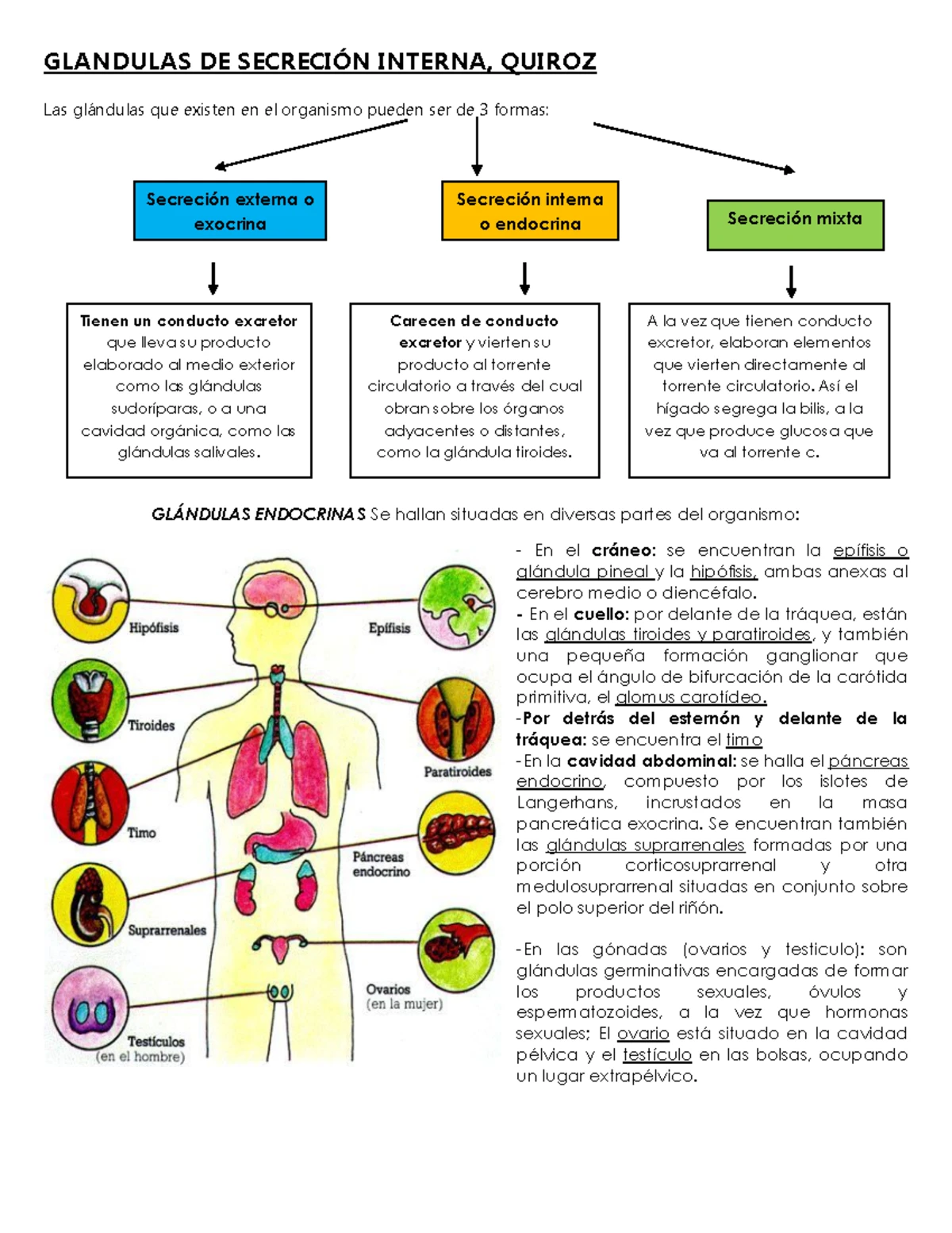 02 Farmacos Procineticos Y USOS - FARMACOS PROCINETICOS Y USOS ...