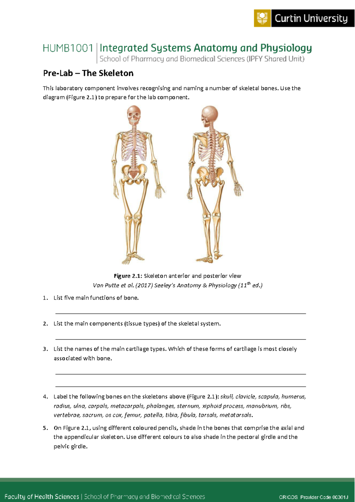 Pre-Lab Questions on The Skeleton (EXT ISAP 20 Sem 2, 2018) - Studocu
