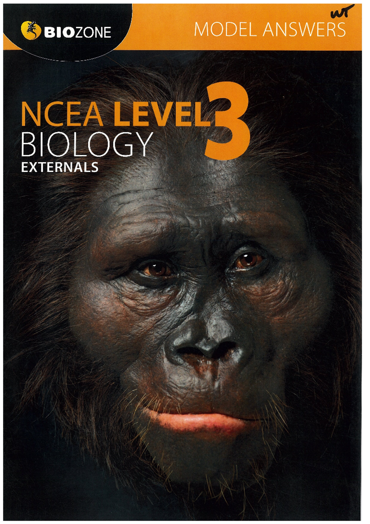 NCEA Level 3 Biology Externals Model Answers: Comprehensive Guide - Studocu