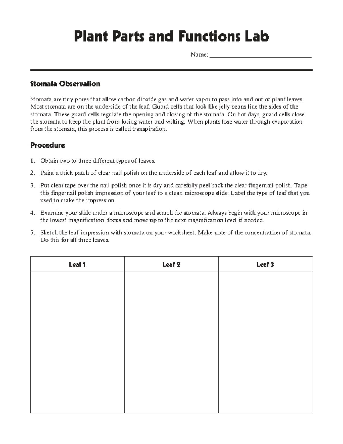 Plant Parts and Functions Lab: Stomata & Chloroplasts Observation - Studocu