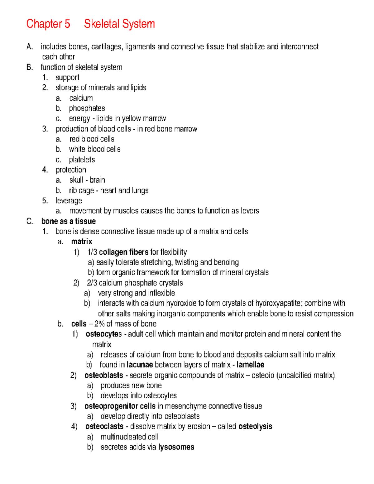 Chapter 5 Skeletal System 2018 - Outline - Chapter 5 Skeletal System A ...