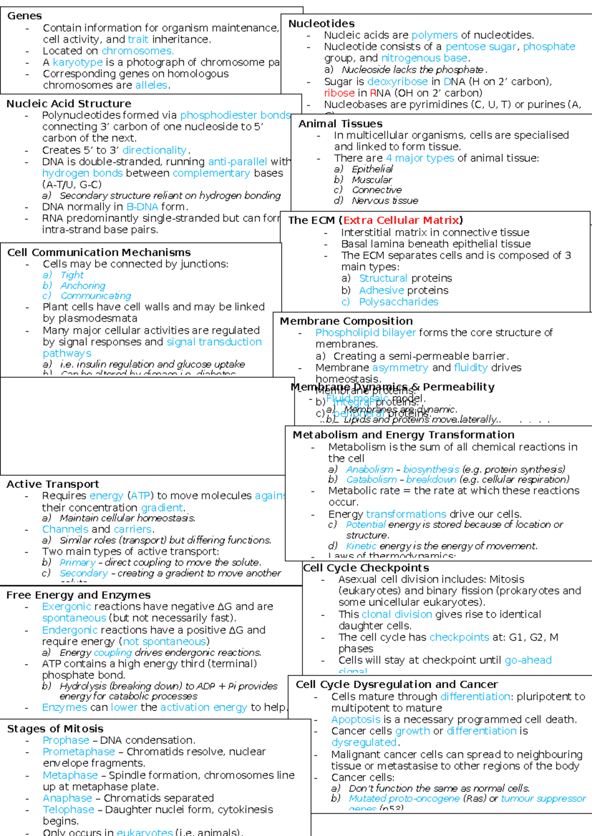 BIO103 cheat sheet - Cell Cycle Checkpoints - Asexual cell division ...