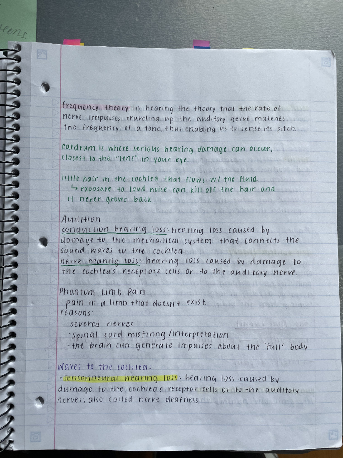 AP Psychology: Sensation & Perception Study Notes - Studocu