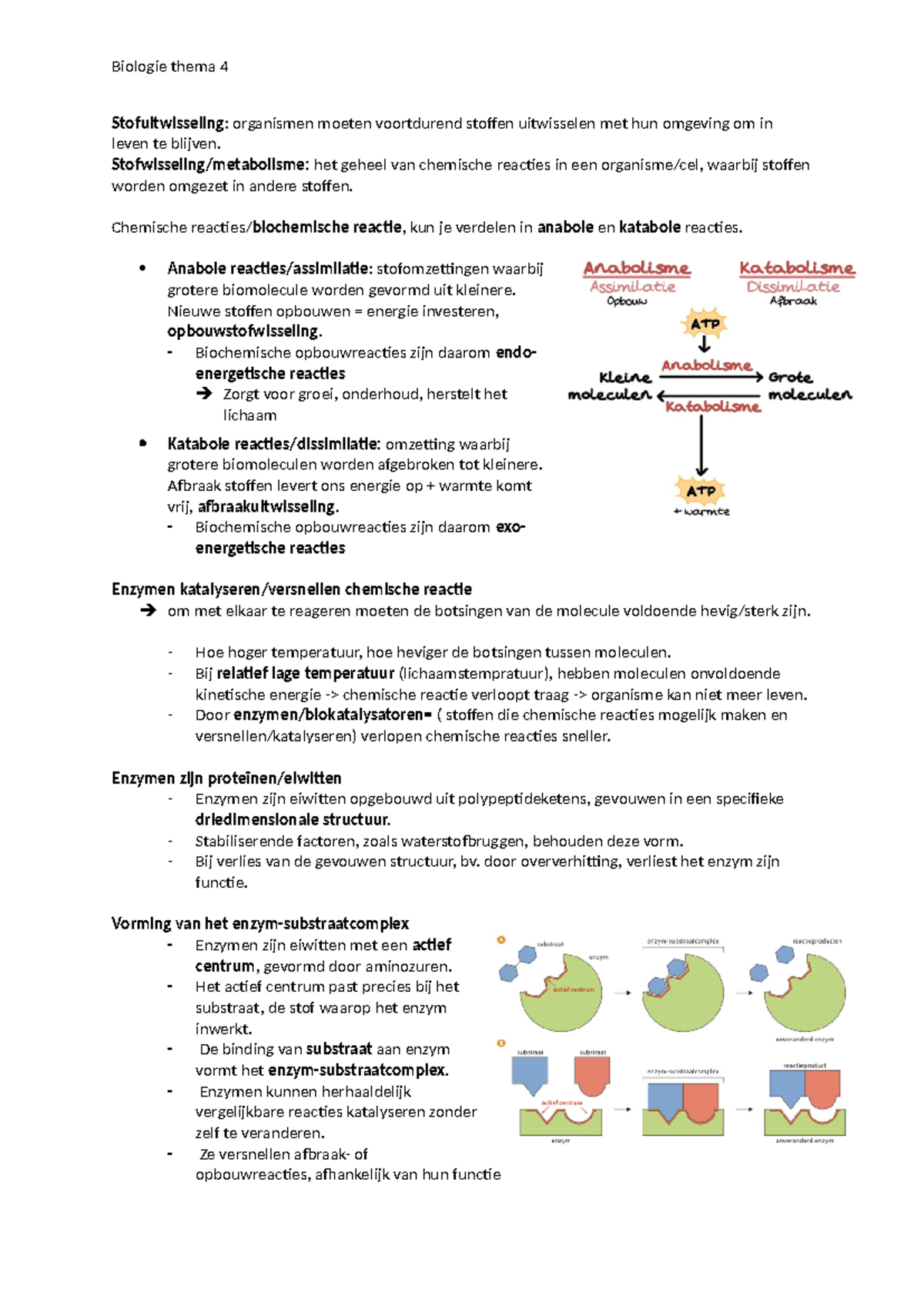 Bio thema 4 - een samenvatting biologie - Biologie thema 4 ...