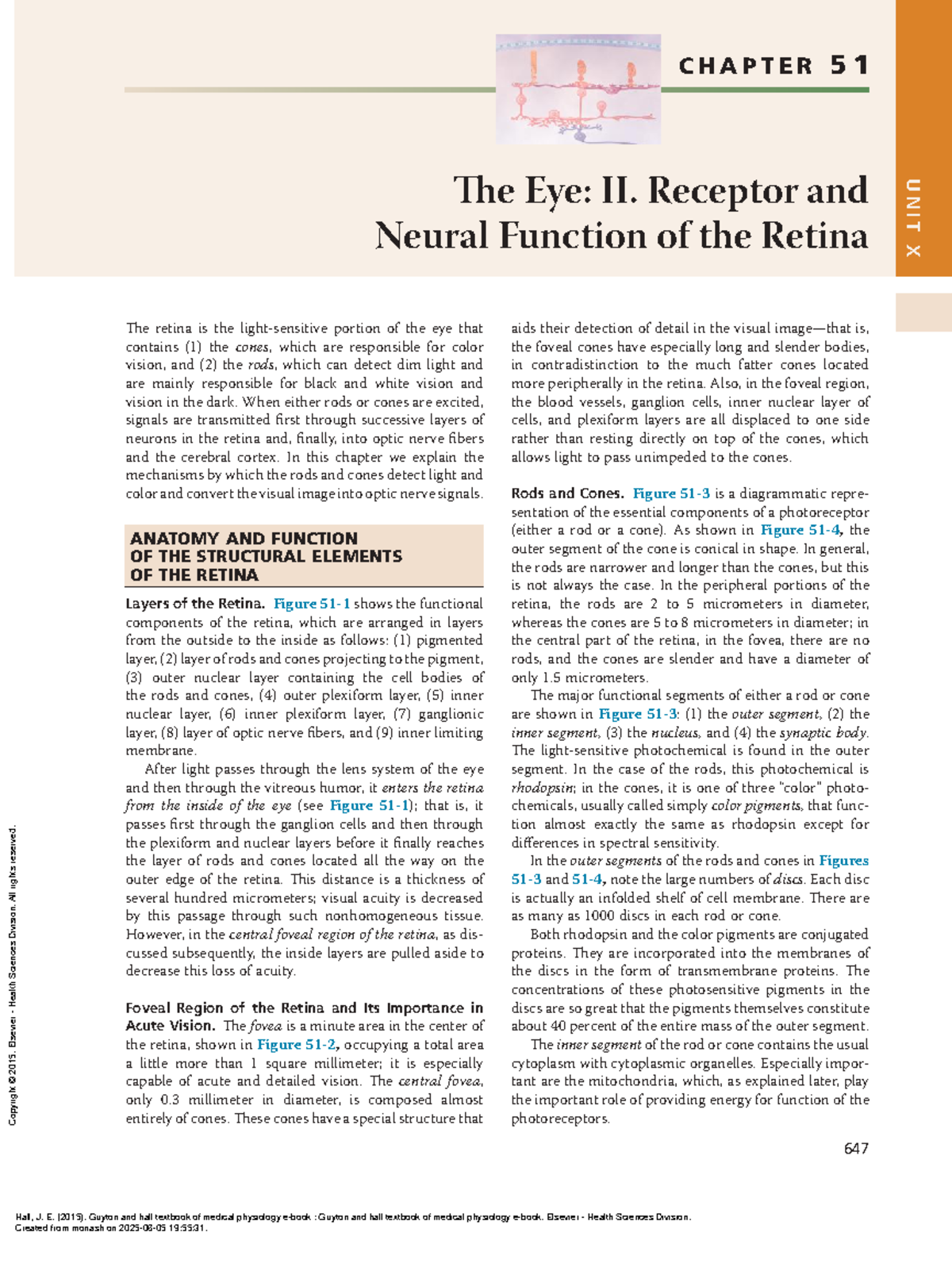 CHAPTER 51: Anatomy and Function of the Retina in Vision (Unit X) - Studocu