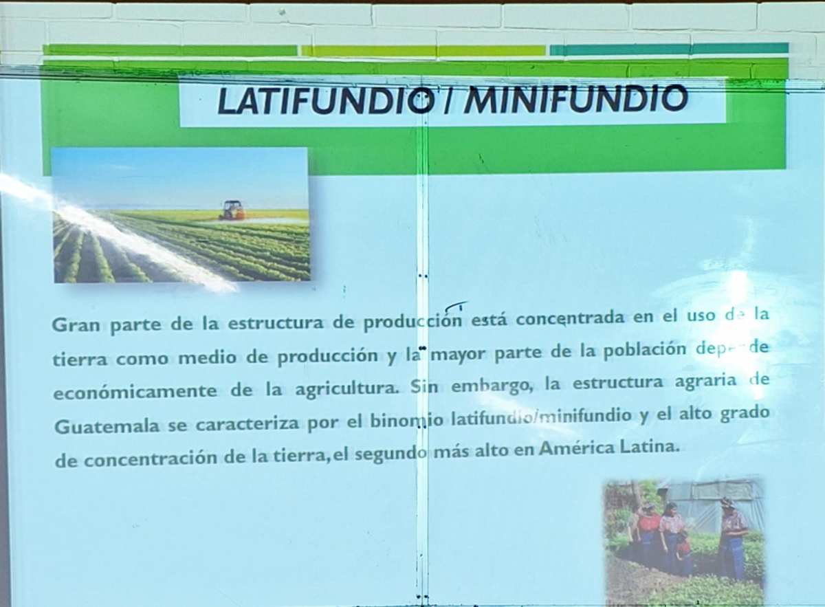 Estructura Agraria en Guatemala: Latifundio y Minifundio - Studocu