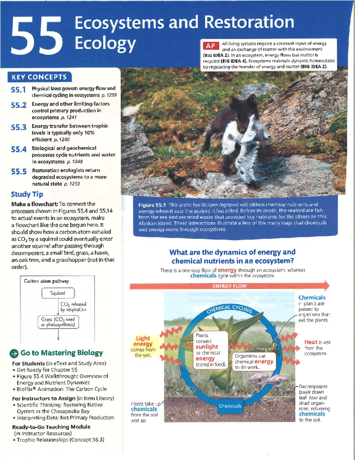 AP Biology Chapter 55: Ecosystems and Restoration Ecology Insights ...