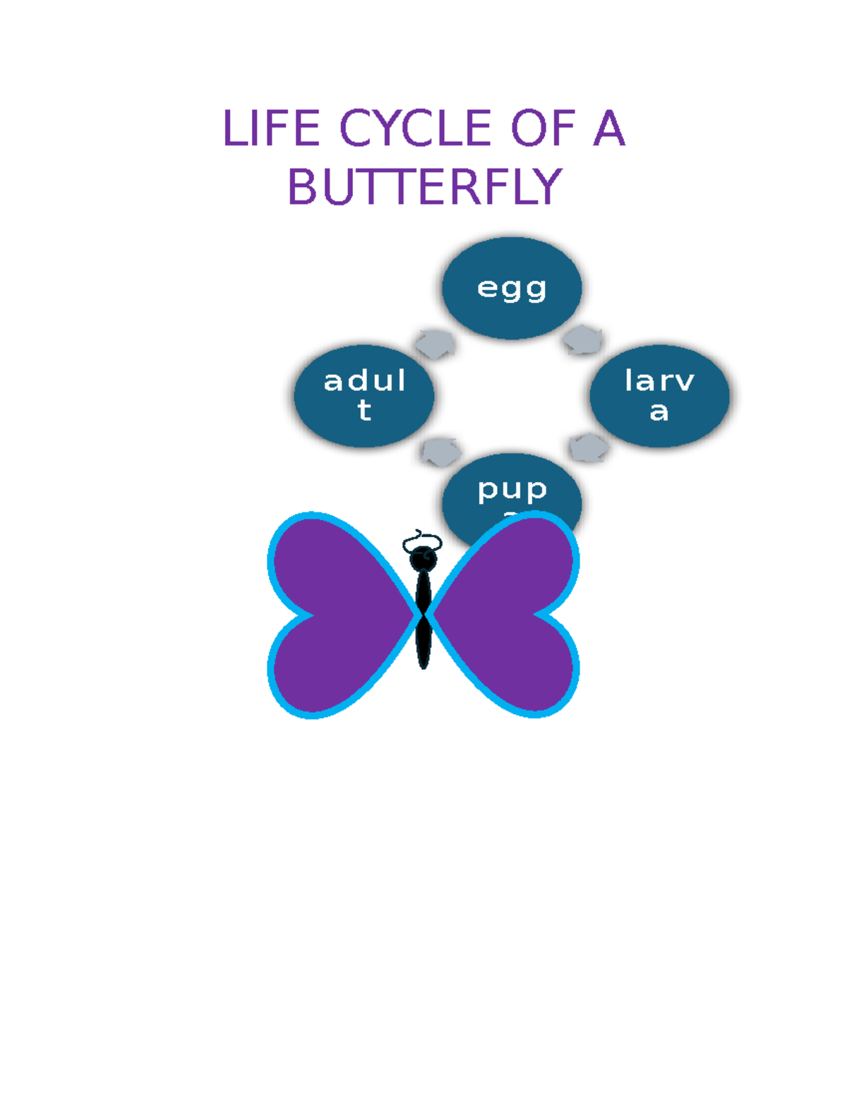 8.4 LIFE Cycle OF A Butterfly - LIFE CYCLE OF A BUTTERFLY egg adul larv ...