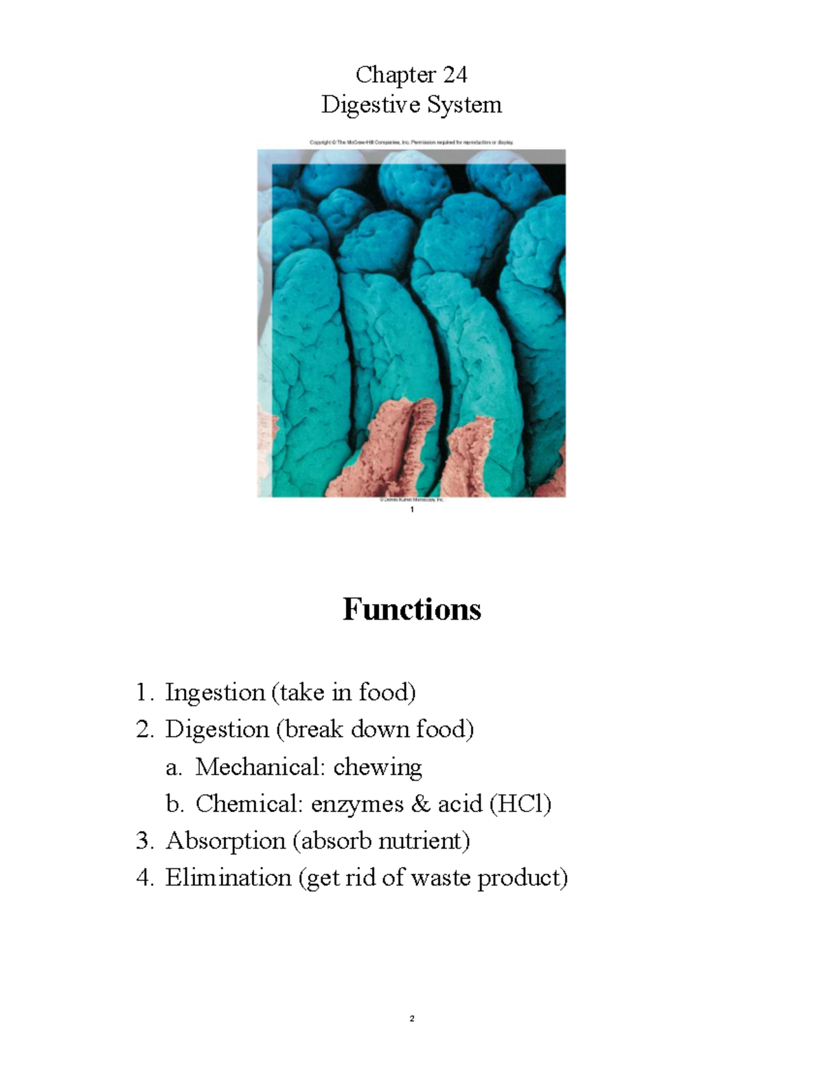 Chapter 24: Digestive System Overview and Functions (151 - Health ...