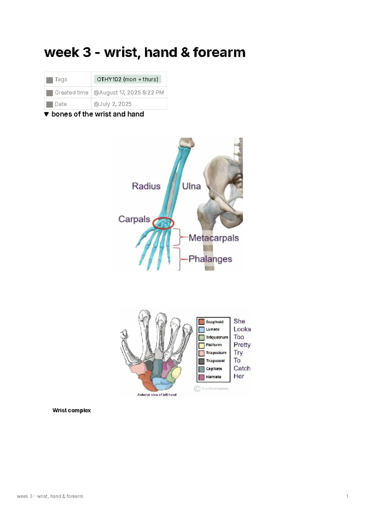 Wrist, Hand & Forearm Overview - OTHY102 Week 3 Notes - Studocu