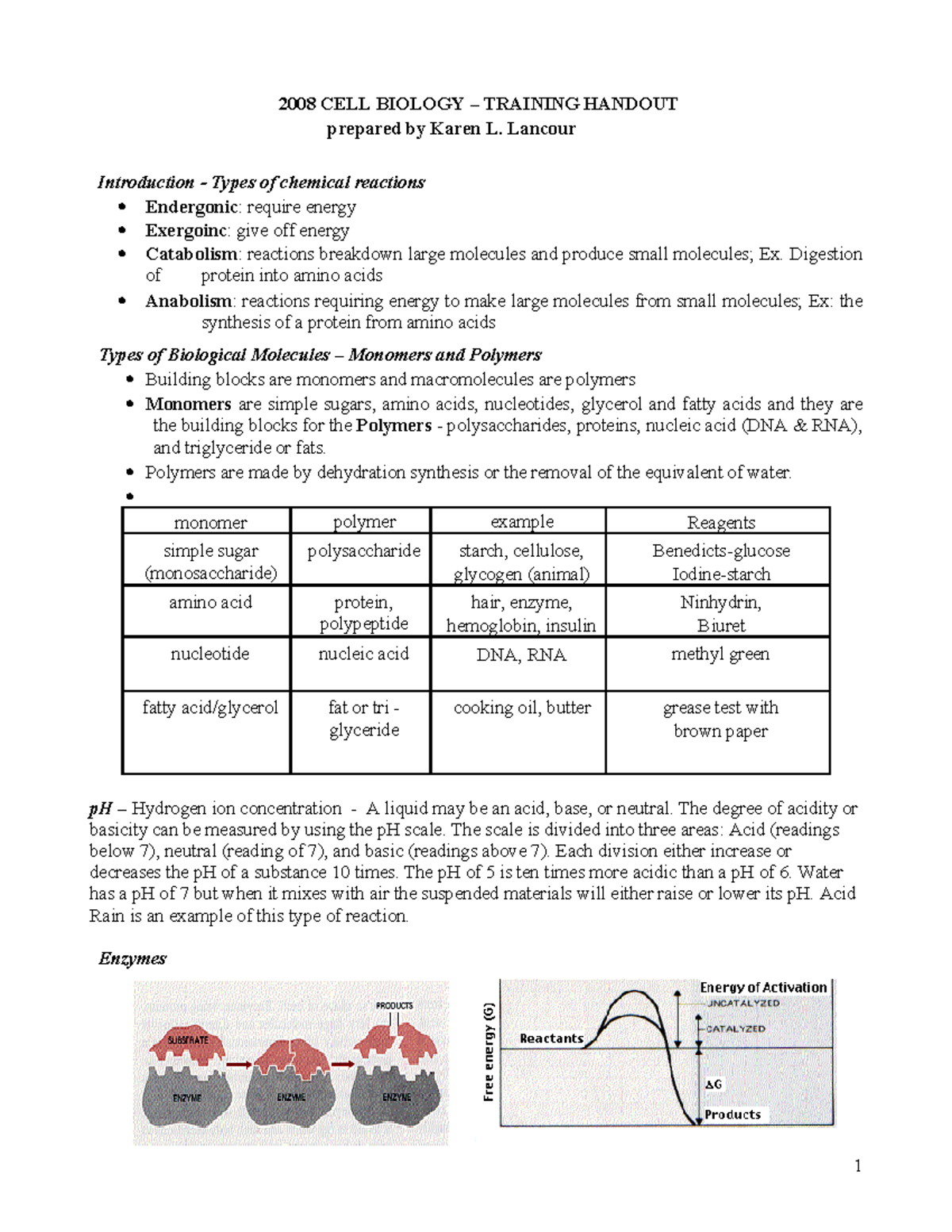 CELL BIOLOGY 2008 LECTURE NOTES: Chemical Reactions & Organelles - Studocu