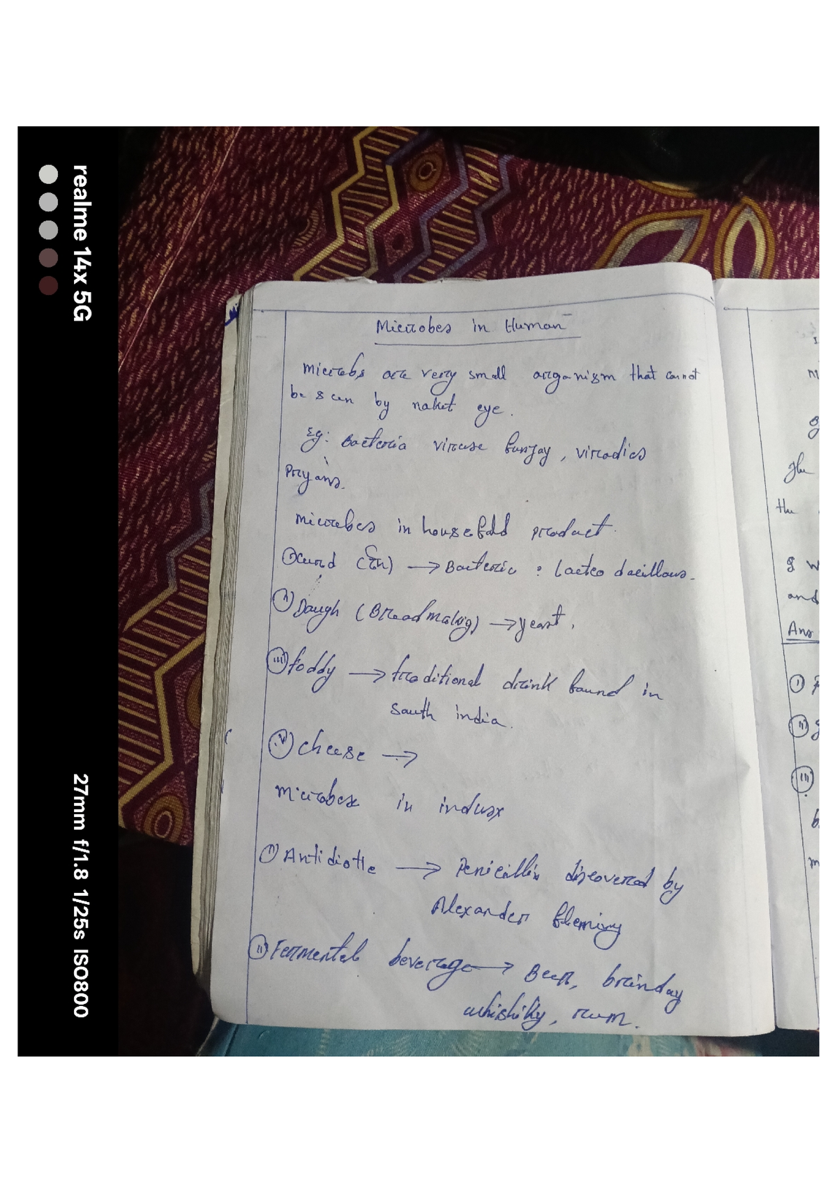 Microbes in Human Welfare: Importance and Immunity Insights - Studocu