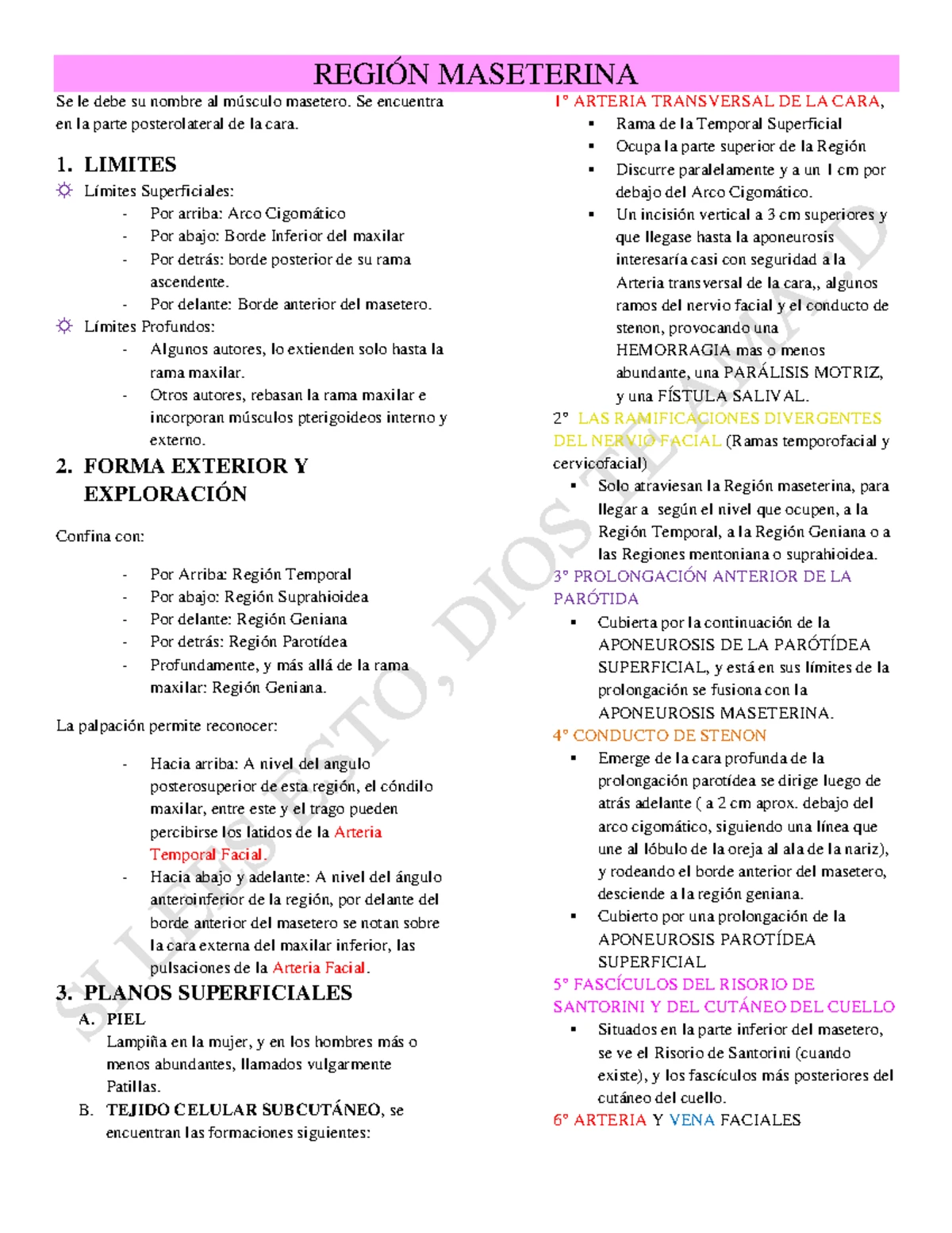 RegióN Mentoniana Y Maseterica - MENTONIANA y La mentoniana separada ...
