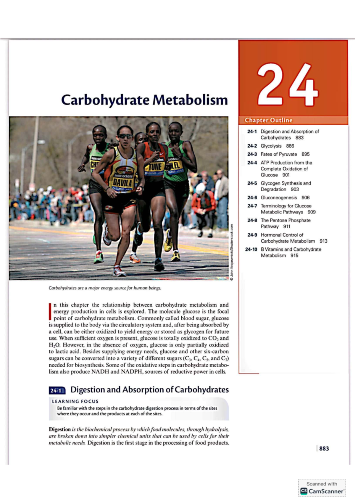 Carbohydrate Metabolism 24: Chapter Outline on Digestion & Absorption ...