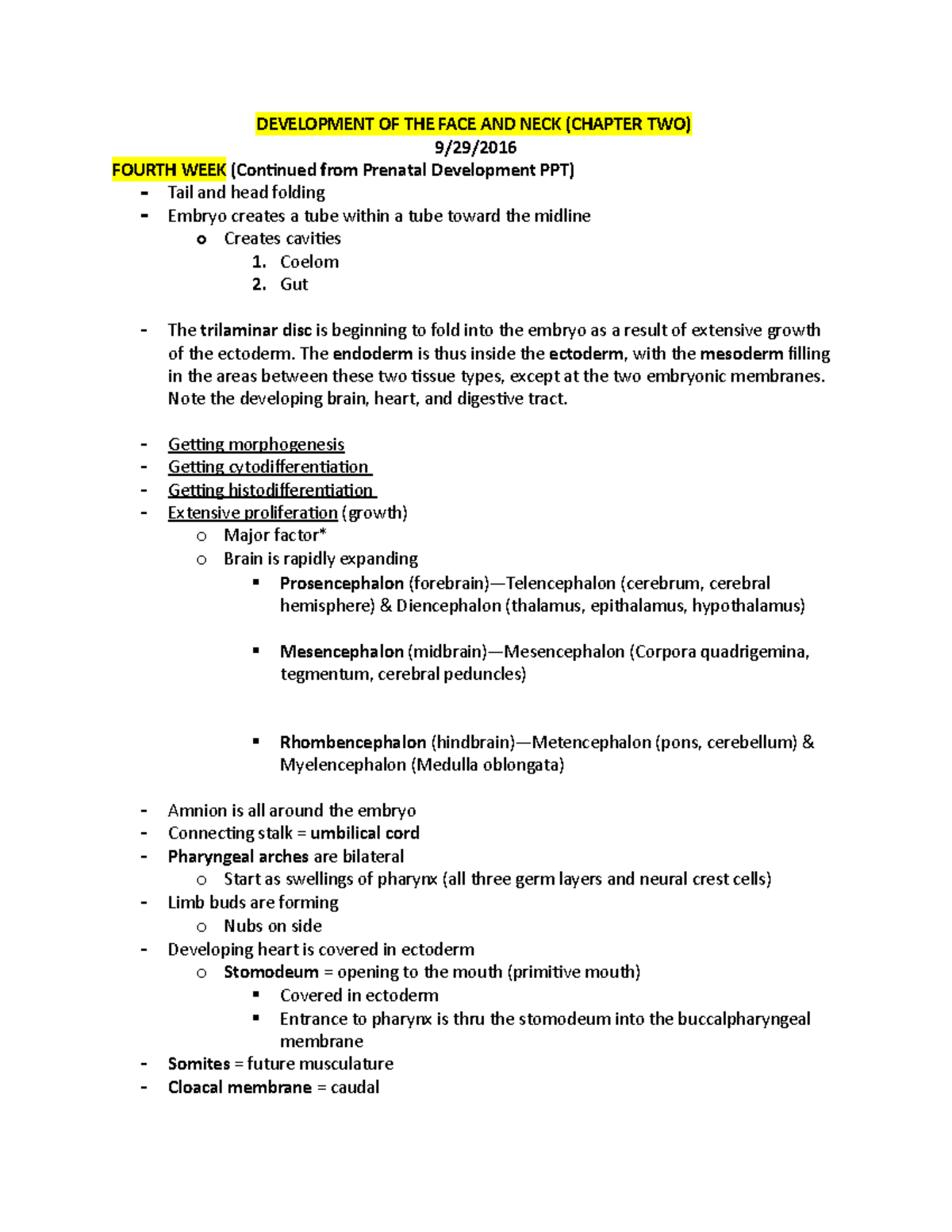 Face and Neck Development Notes - DEVELOPMENT OF THE FACE AND NECK ...