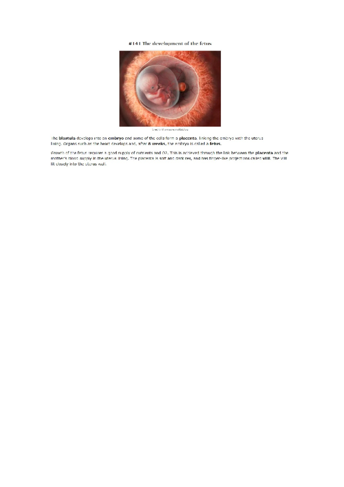 Fetal Development - Blah b;a - The development of the fetus Credit ...