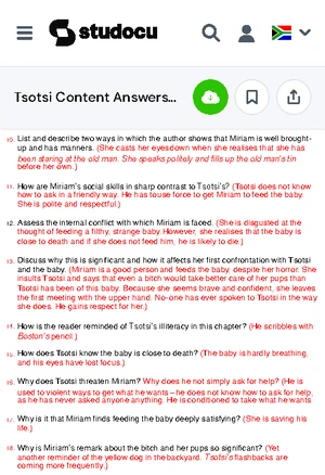 Tsotsi (ENG 101) Contextual Questions and Analysis - Chapter Breakdown ...