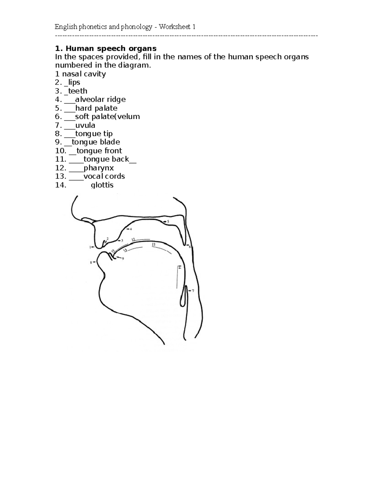 ENG 101: Phonetics & Phonology Worksheet 1 - Speech Organs & Airstreams ...