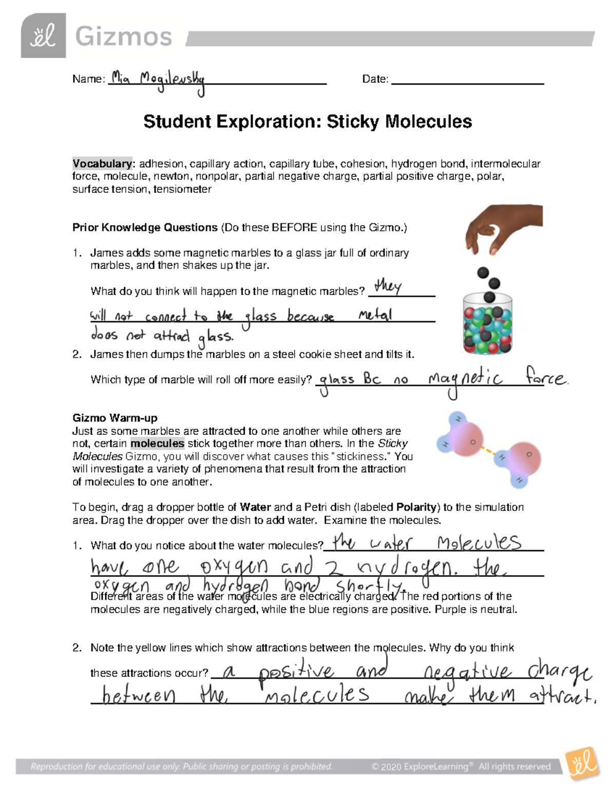 Sticky Molecules Gizmo Exploration: Polarity & Intermolecular Forces ...
