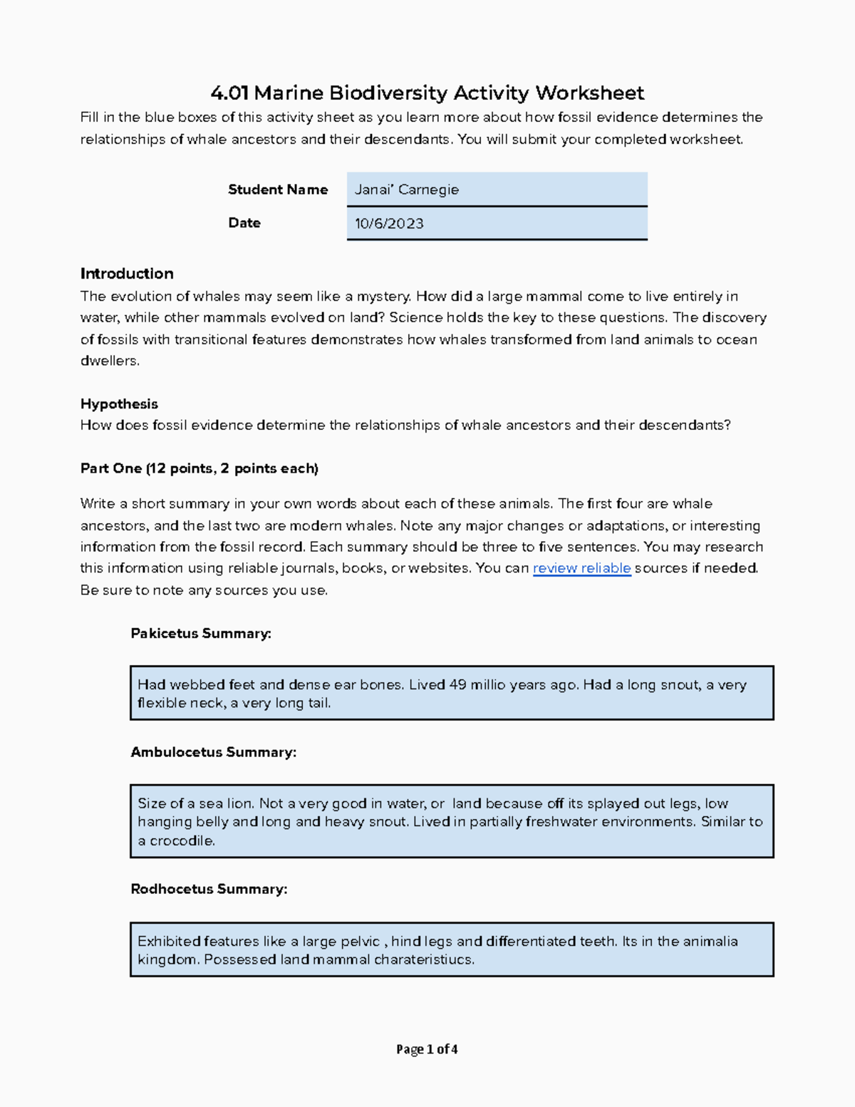 4.01 Marine Biodiversity Worksheet: Whale Ancestors and Fossils ...
