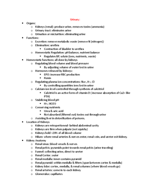 A&P II Urinary System Study Guide - A&P II Exam 5 Study Guide Dr ...