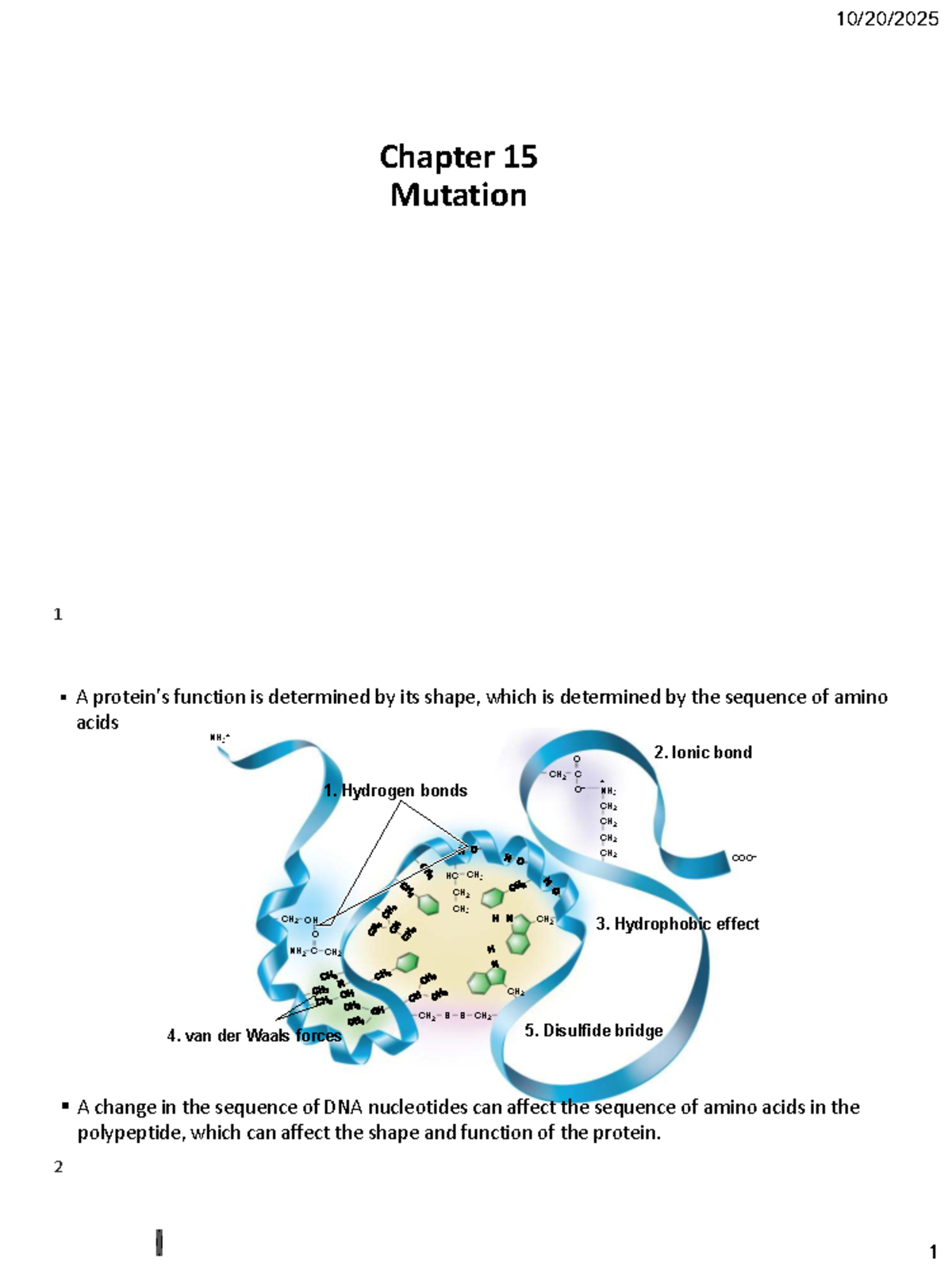 Chapter 15: Mutations and Cancer - Understanding Genetic Changes - Studocu