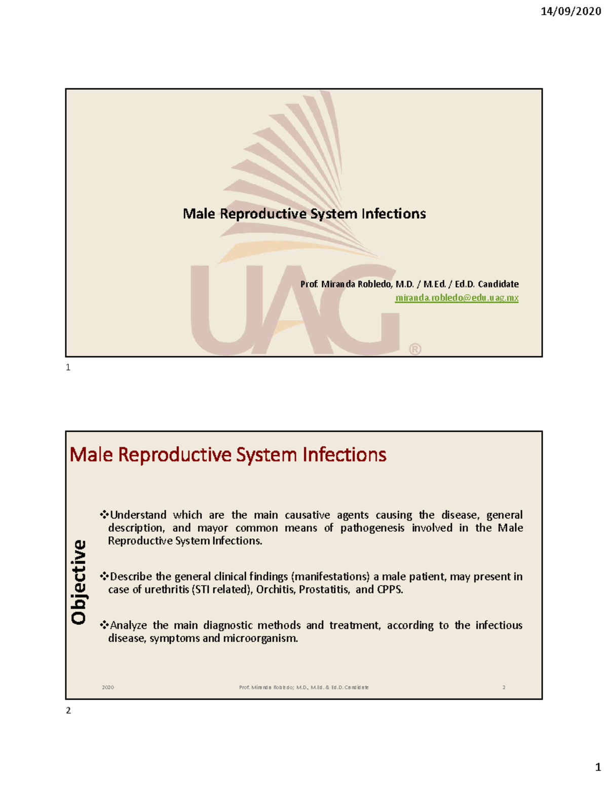 8. Male Reproductive System Infections Class Notes - Prof. Miranda ...