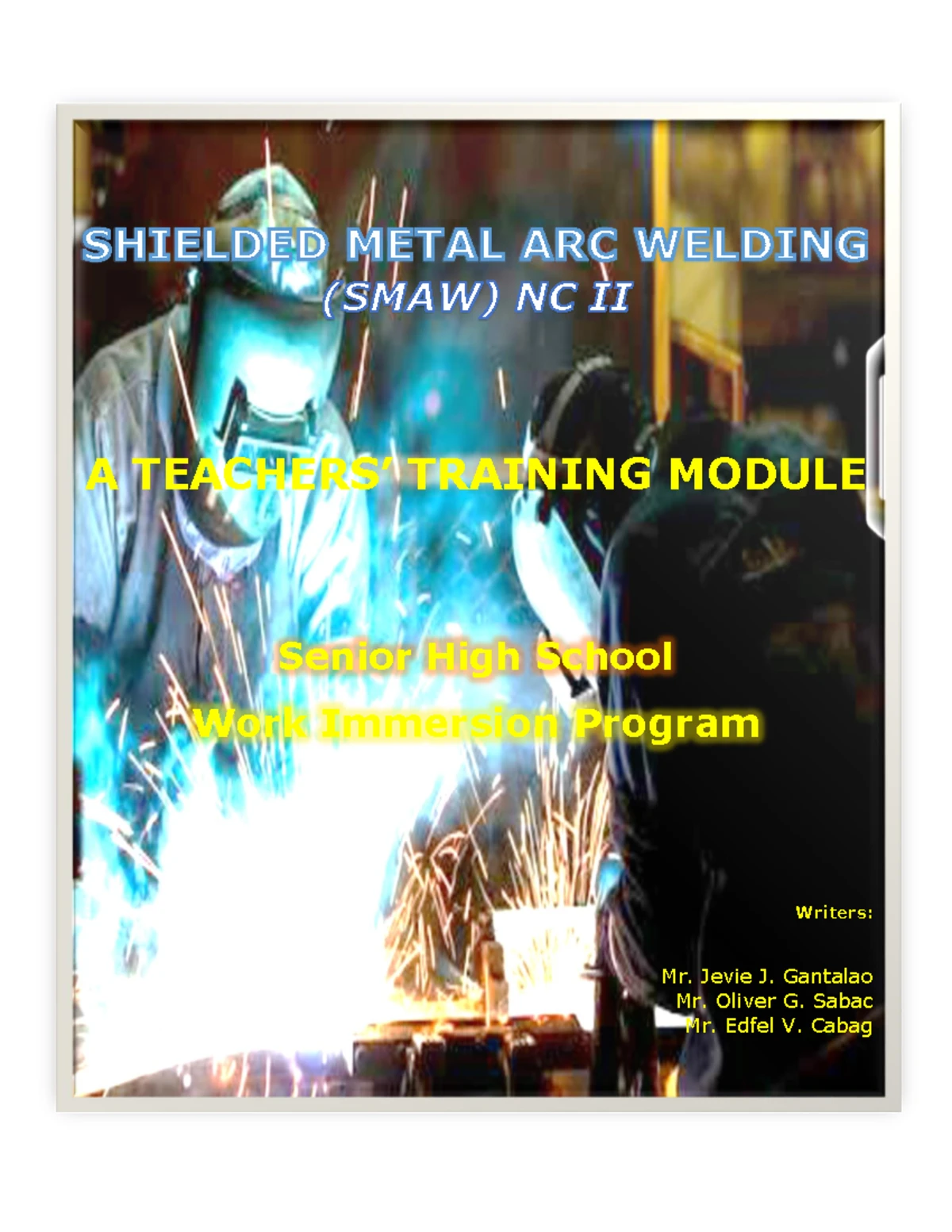 Alumni and graduate pledge - ALUMNI’S PLEDGE I ...