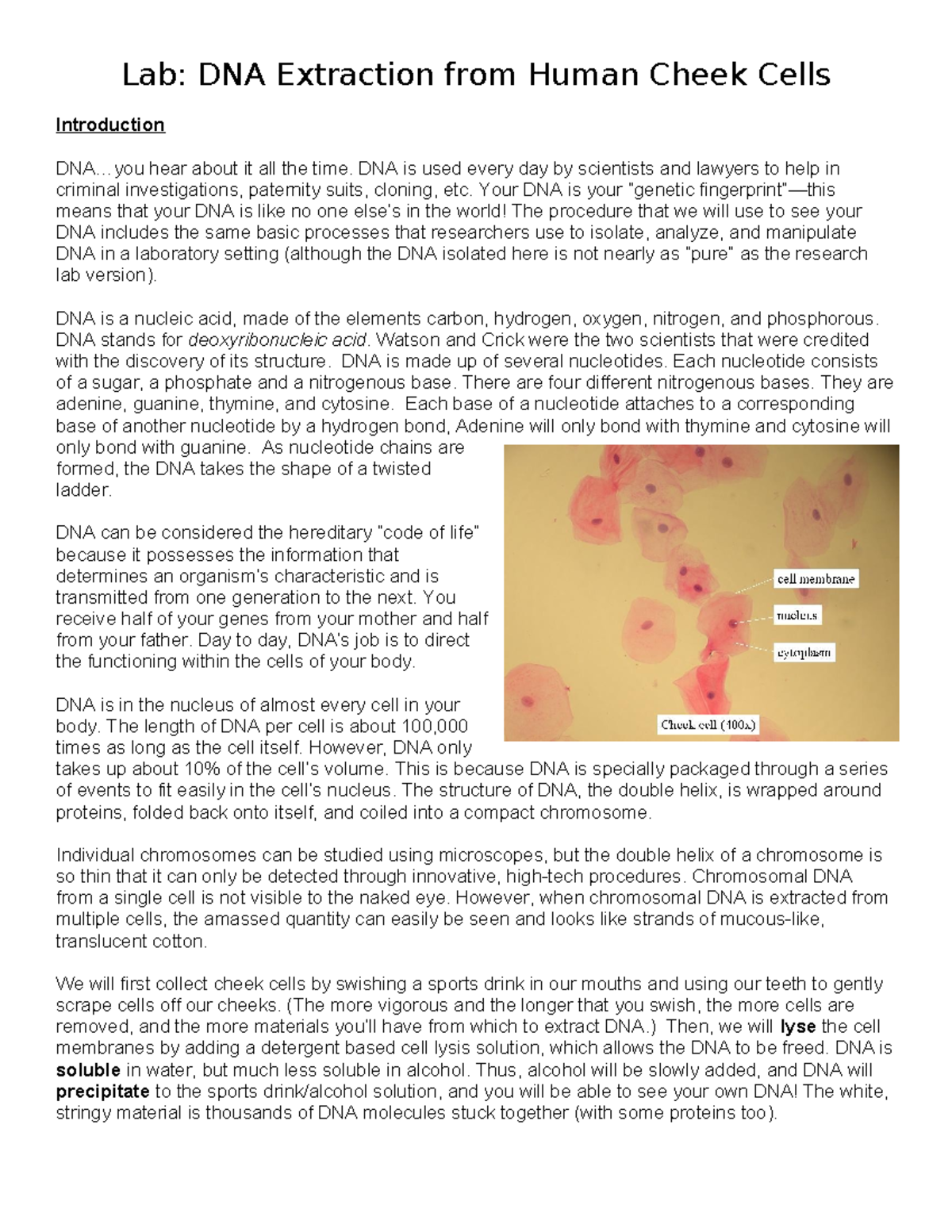 Genetics Lab: DNA Extraction from Human Cheek Cells - Studocu