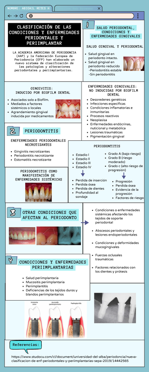 Infografia Anatomia Macro Y Micro DE LA Encia - jEl principal papel de ...