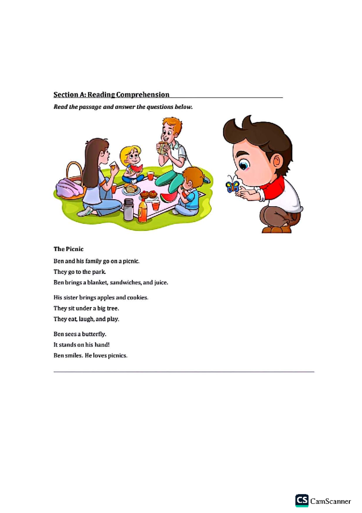 CS Reading Comprehension and Writing Practice: The Picnic - Studocu